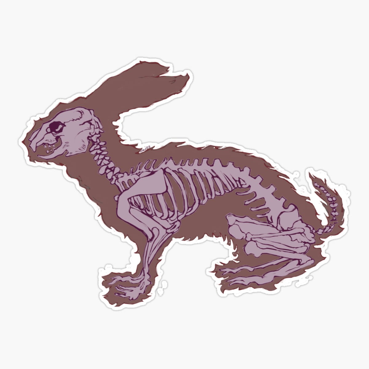 Onim Anatomy Of A Hare (Transparent) Sticker, Phone Decal Water Bottle ...