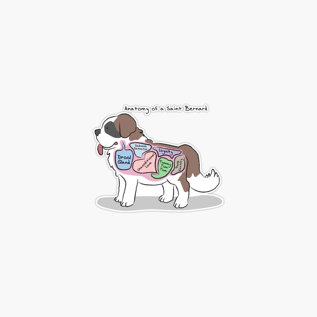 Onim Anatomy Of A Saint Bernard Sticker, Phone Decal Water Bottle Stickers Car Decals, Funny ...