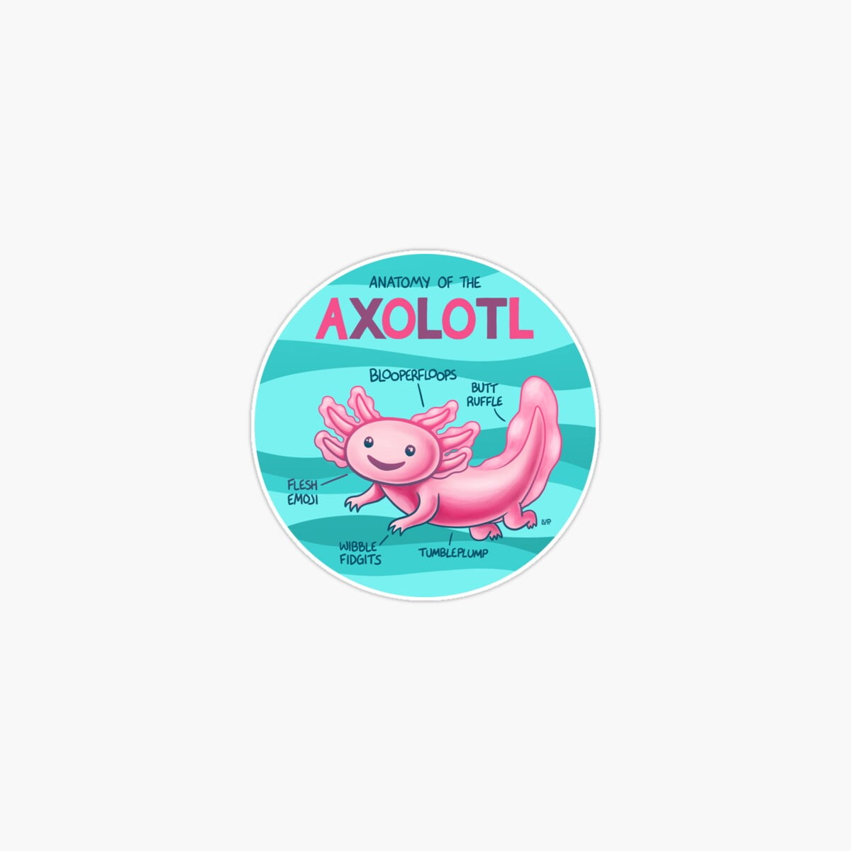 Onim Anatomy Of The Axolotl Sticker, Phone Decal Water Bottle Stickers ...