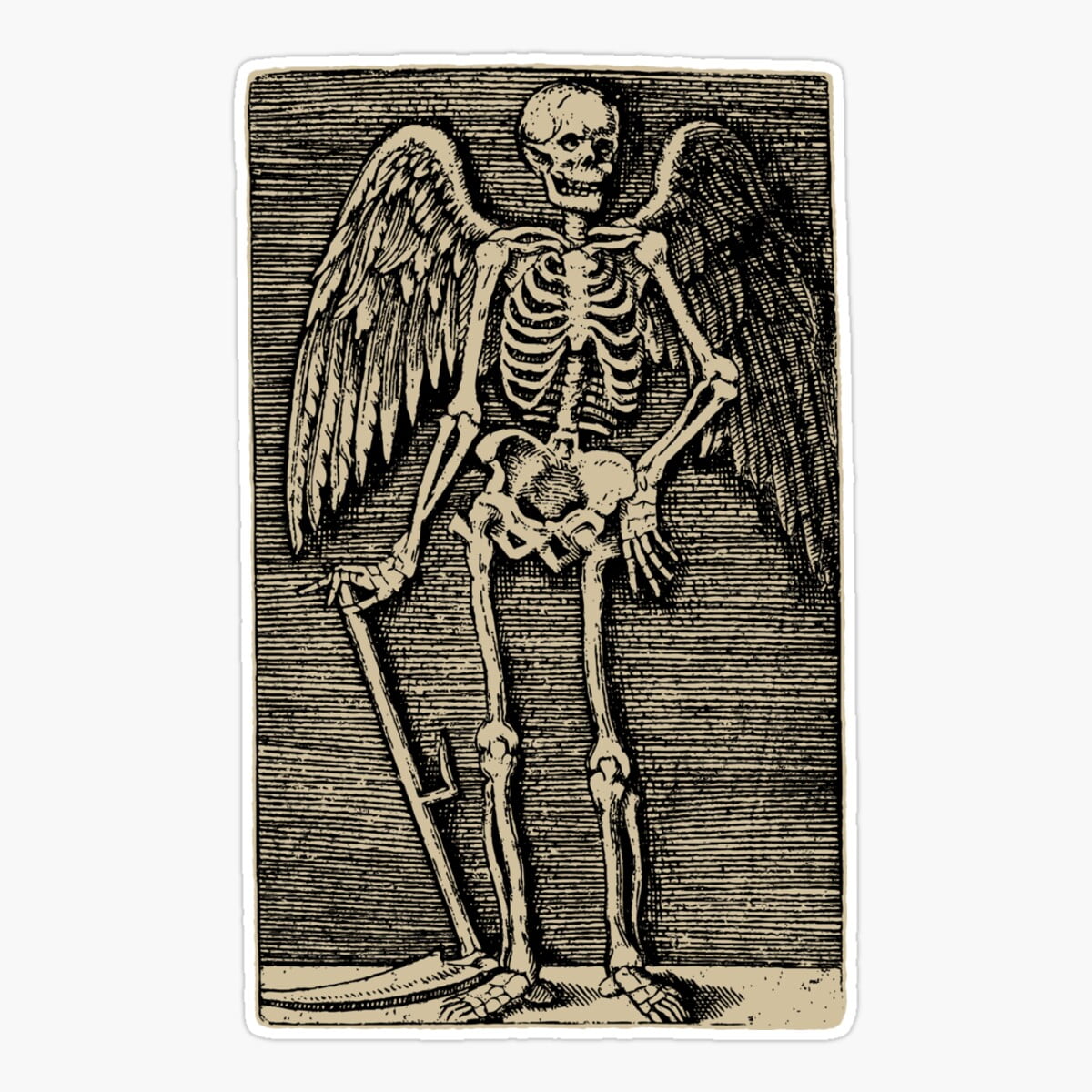 Onim Angel Of Death Sticker, Phone Decal Water Bottle Stickers Car ...