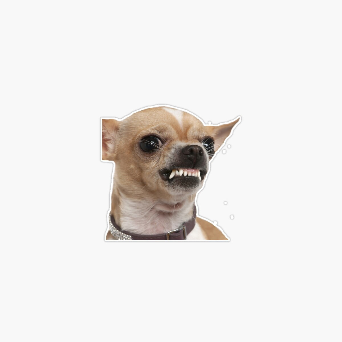 Onim Angry Boye Sticker, Phone Decal Water Bottle Stickers Car Decals ...