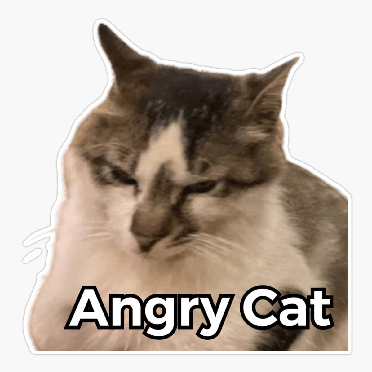 Onim Angry Cat Sticker, Phone Decal Water Bottle Stickers Car Decals ...