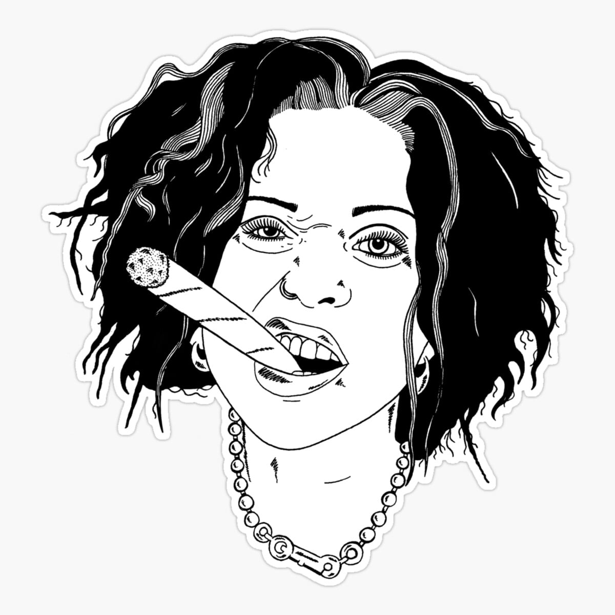 Onim Ani Sticker, Phone Decal Water Bottle Stickers Car Decals, Funny ...