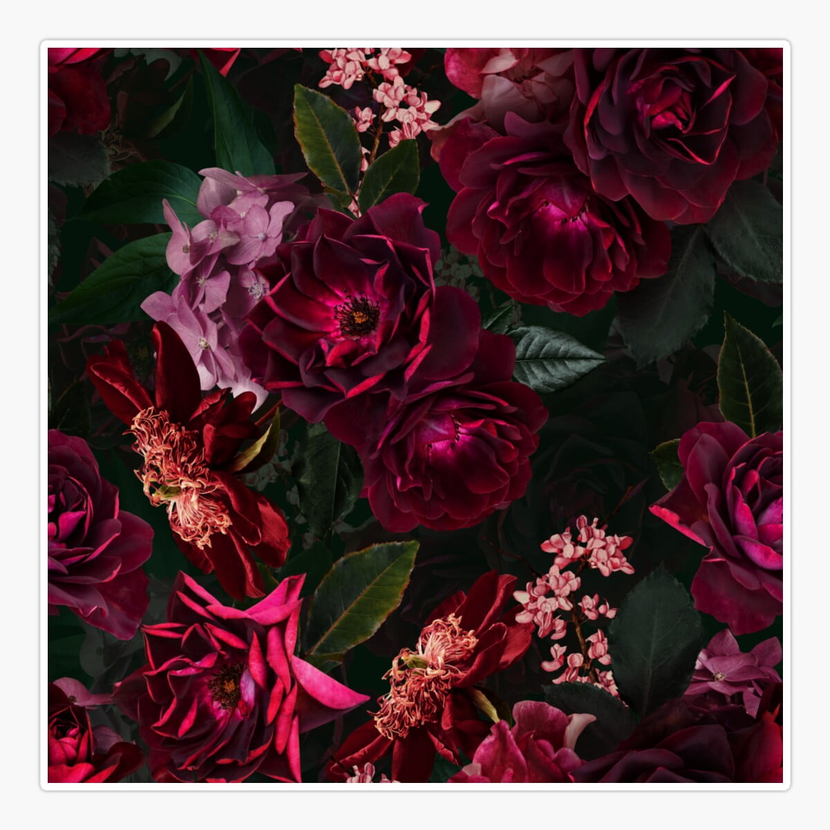 Onim Antique Midnight Botanical Flower Rose Botanical Night Garden Nightgarden Sticker, Phone ...