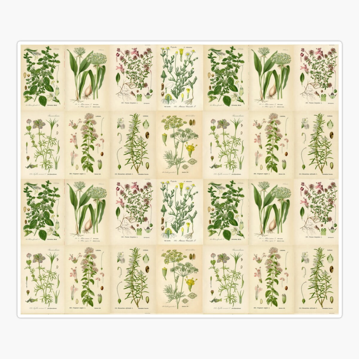 Onim Apothecary Herbs Vintage Botanical Plants Cottagecore Sticker ...