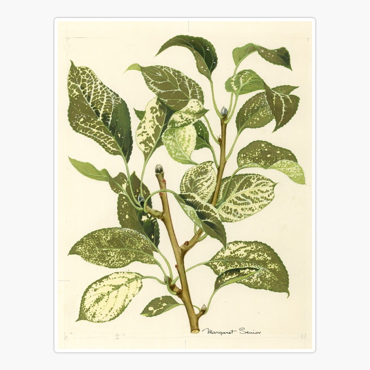 Onim Apple Mosaic Virus Sticker, Phone Decal Water Bottle Stickers Car ...