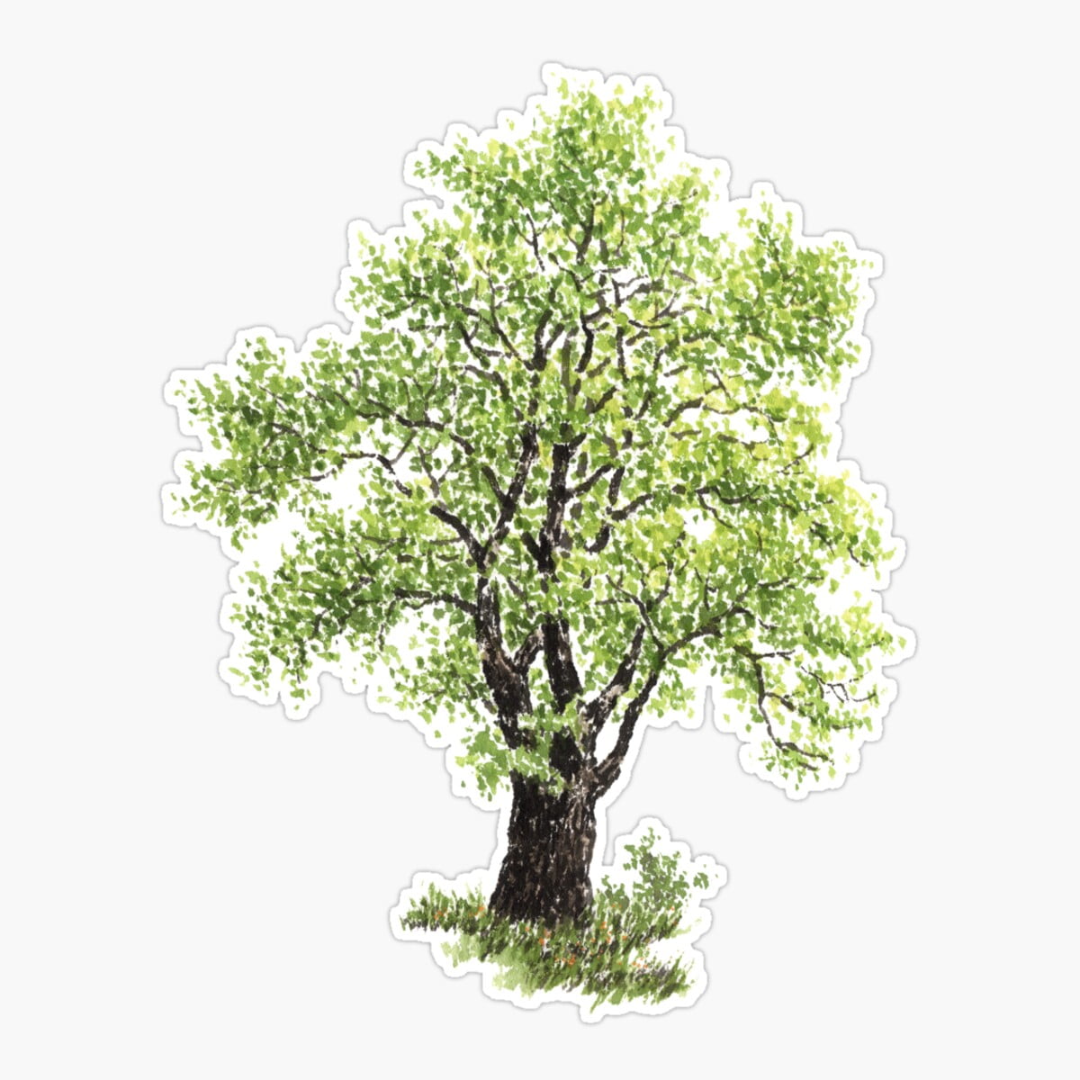 Onim April Birthday Elm Tree Sticker, Phone Decal Water Bottle Stickers ...