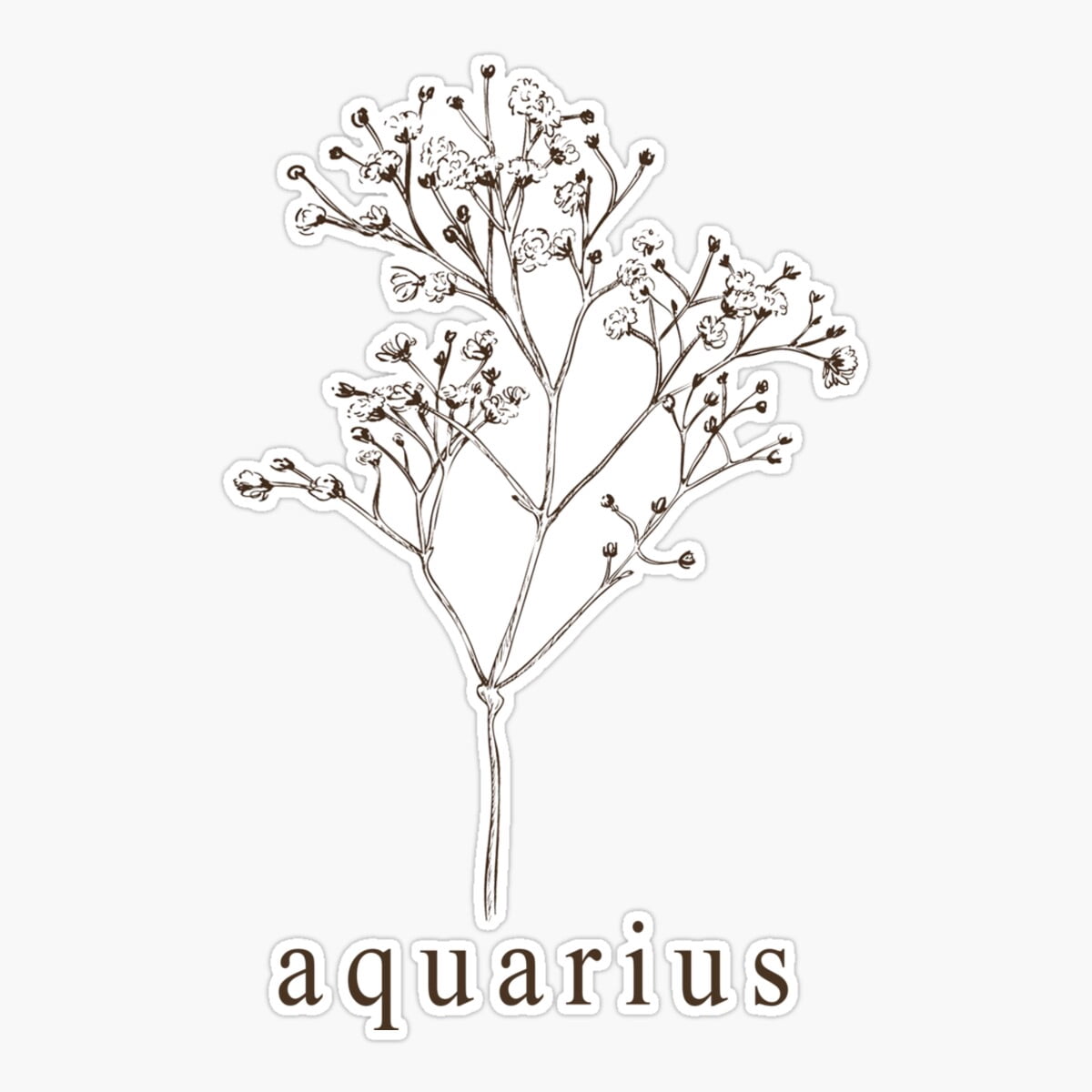 Onim Aquarius Botanical Zodiac Sticker, Phone Decal Water Bottle ...