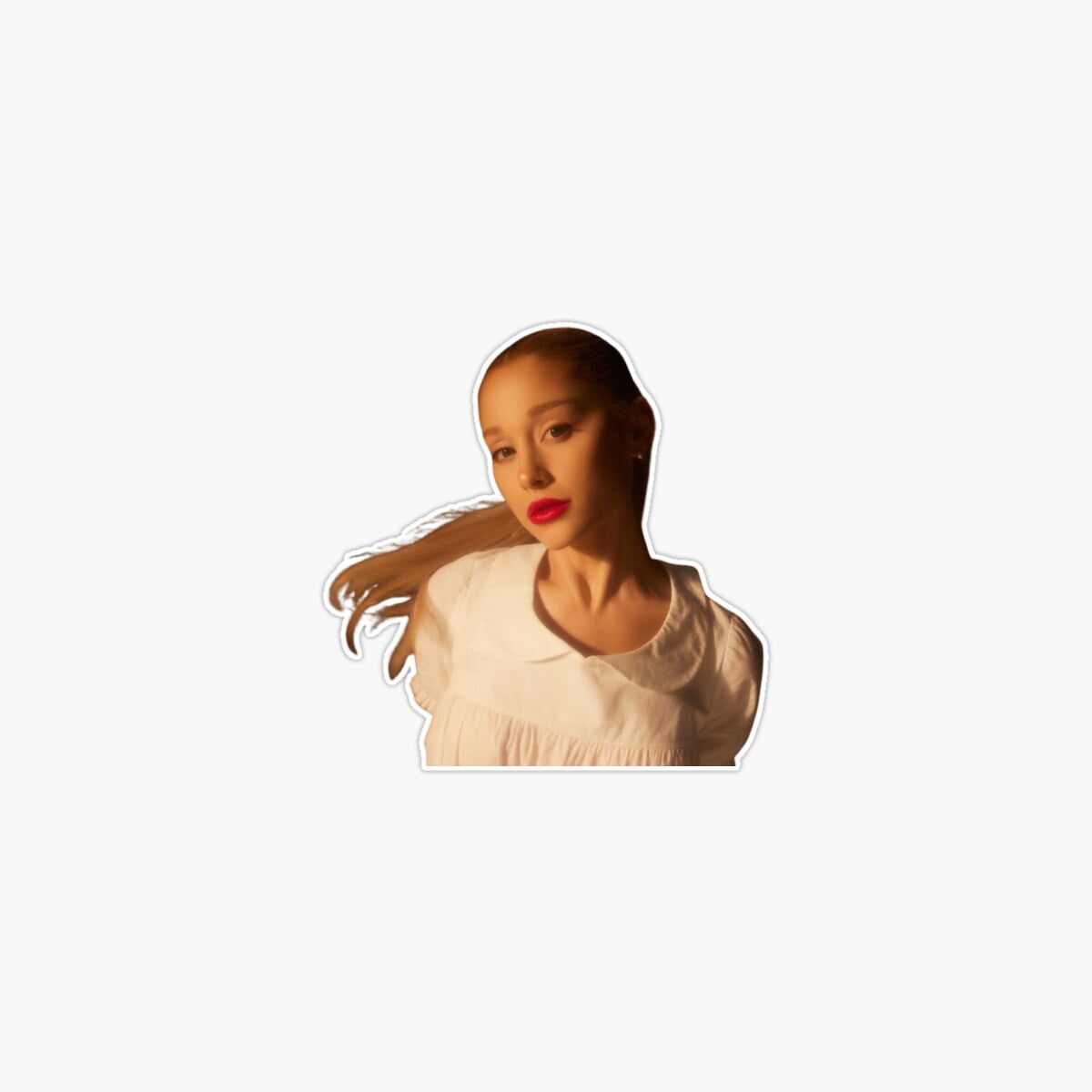 Onim Ariana Grande Sticker Sticker, Phone Decal Water Bottle Stickers ...