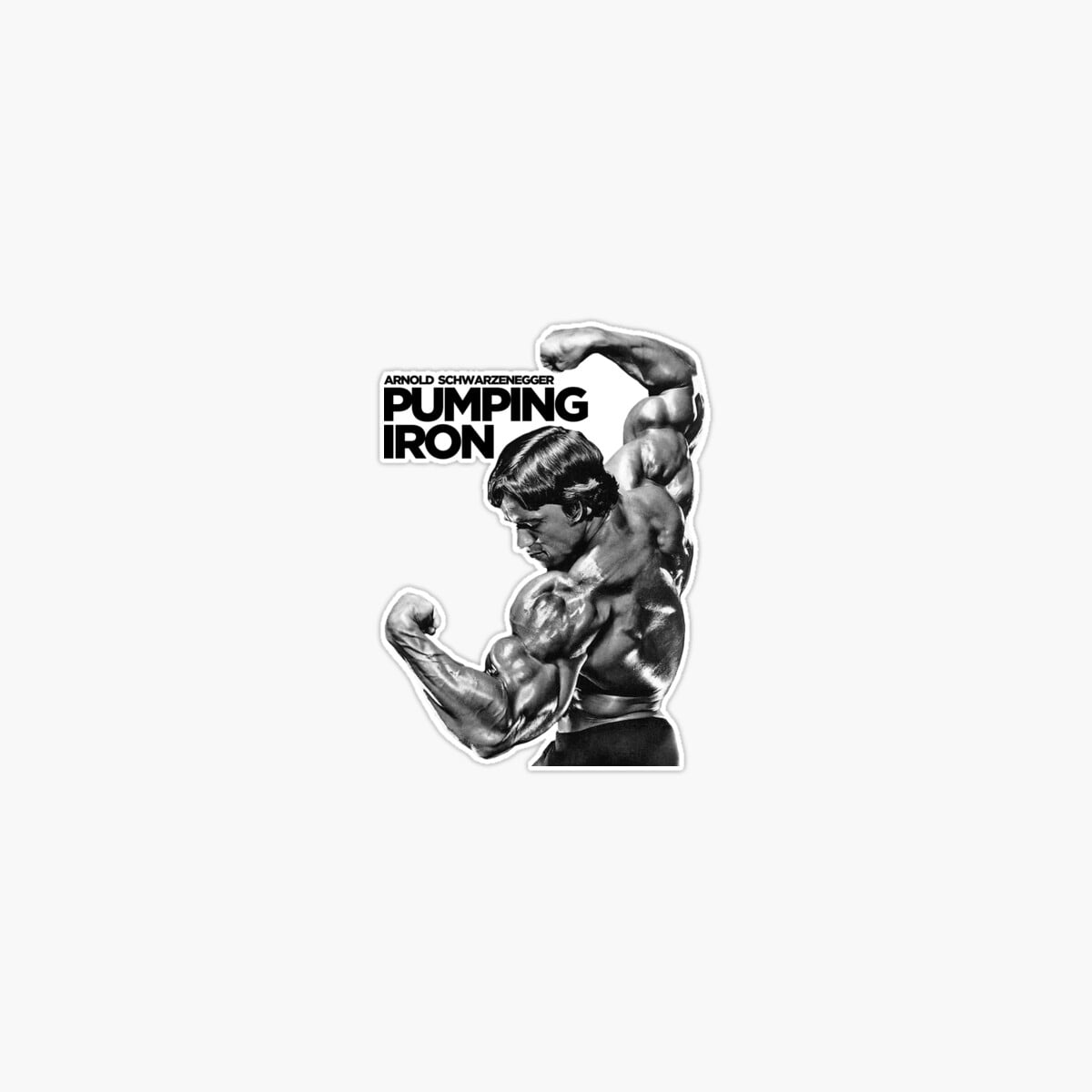 Onim Arnold Schwarzenegger Classic Pumping Iron Sticker, Phone Decal ...