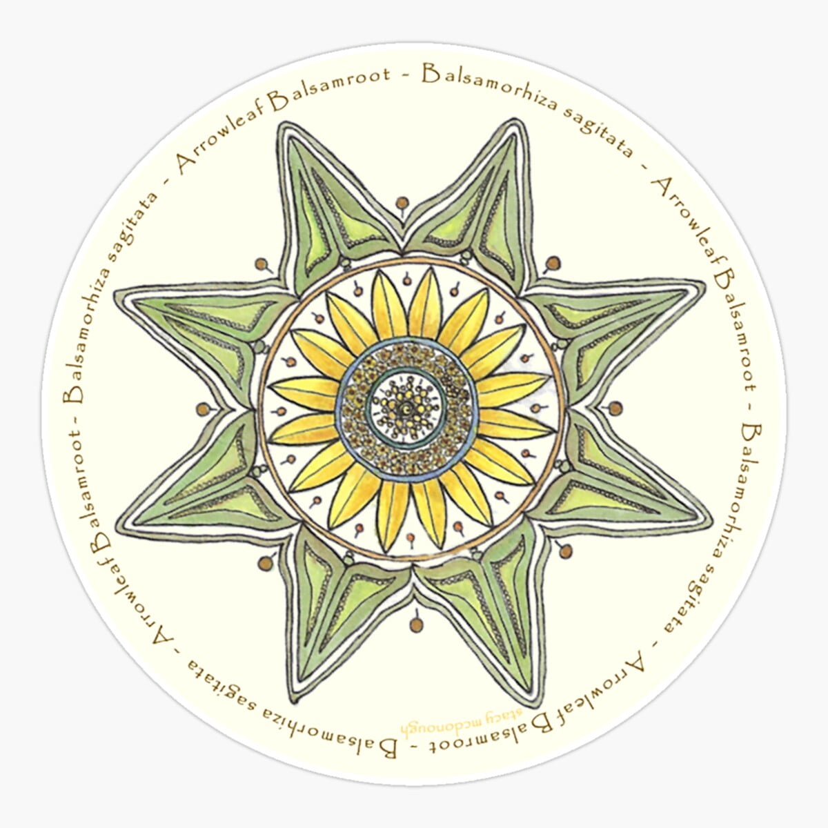 Onim Arrowleaf Balsam Root - Balsamorhiza Sagitata Sticker, Phone Decal ...