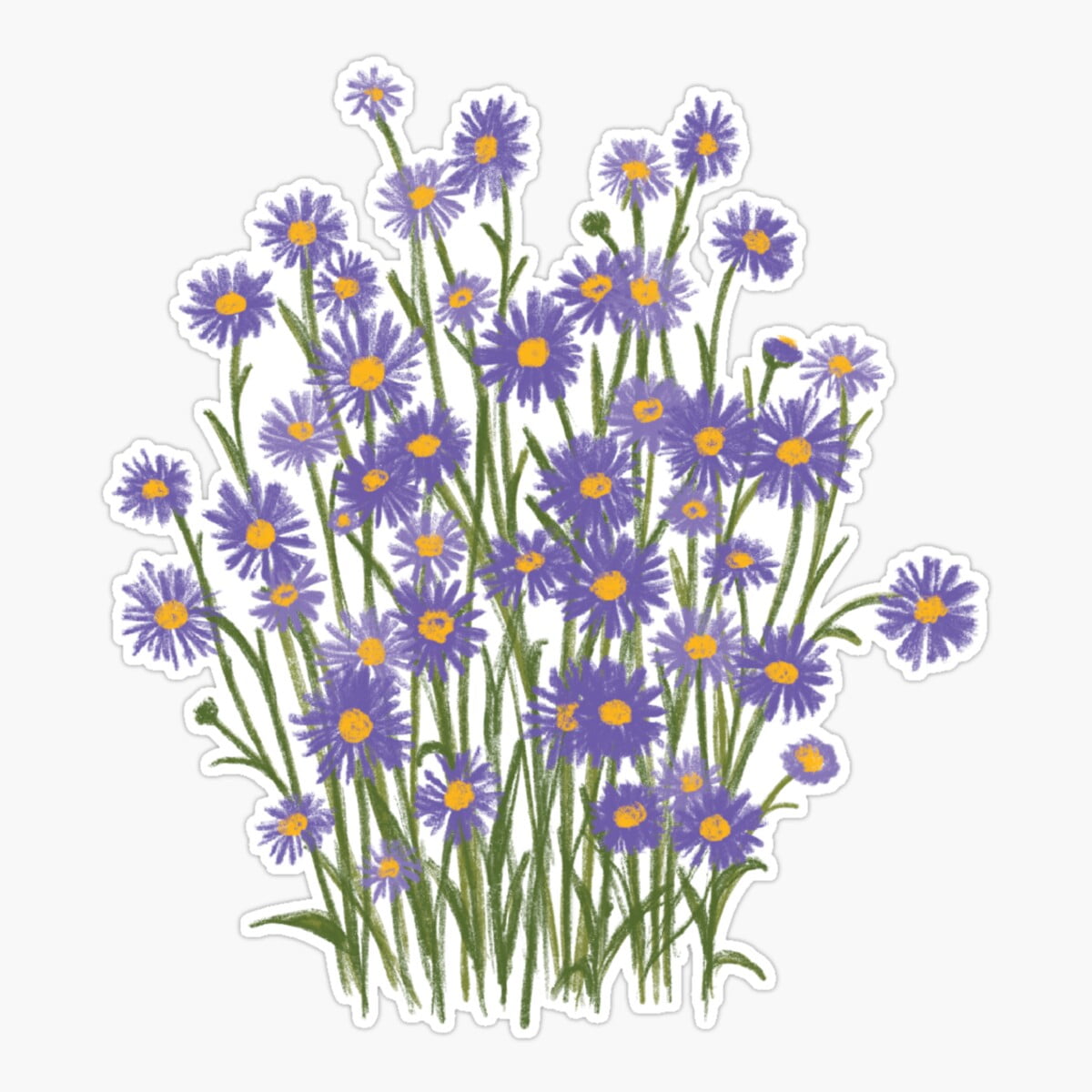 Onim Aster Drawing - Aster Flower Illustration Sticker, Phone Decal ...