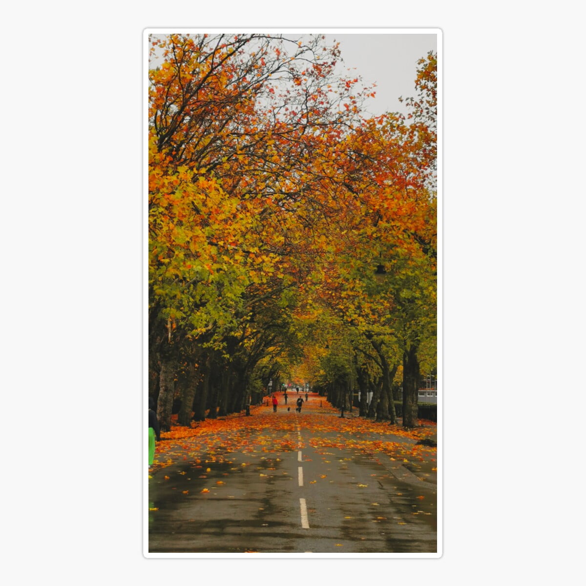 Onim Autumn Pathway Sticker, Phone Decal Water Bottle Stickers Car ...