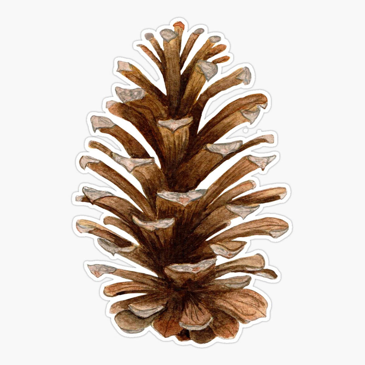 Onim Autumn Seeds 1 - Pinecone Sticker, Phone Decal Water Bottle Stickers Car Decals, Funny ...