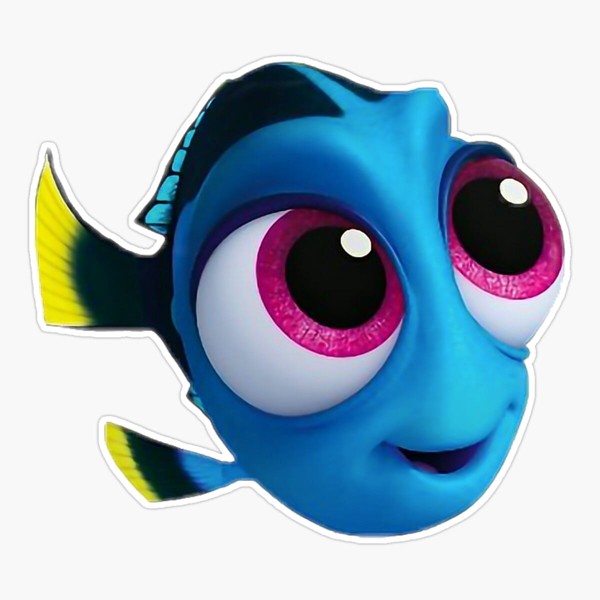 Onim Baby Dory Sticker, Phone Decal Water Bottle Stickers Car Decals ...