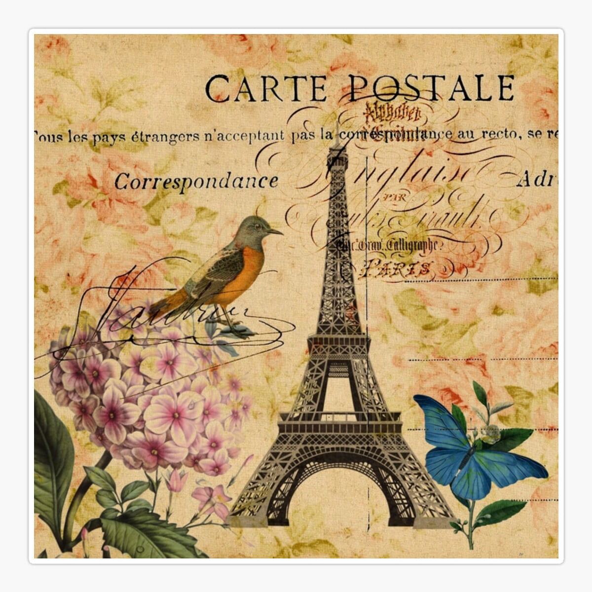 Onim Bailey Sticker, Phone Decal Water Bottle Stickers Car Decals ...