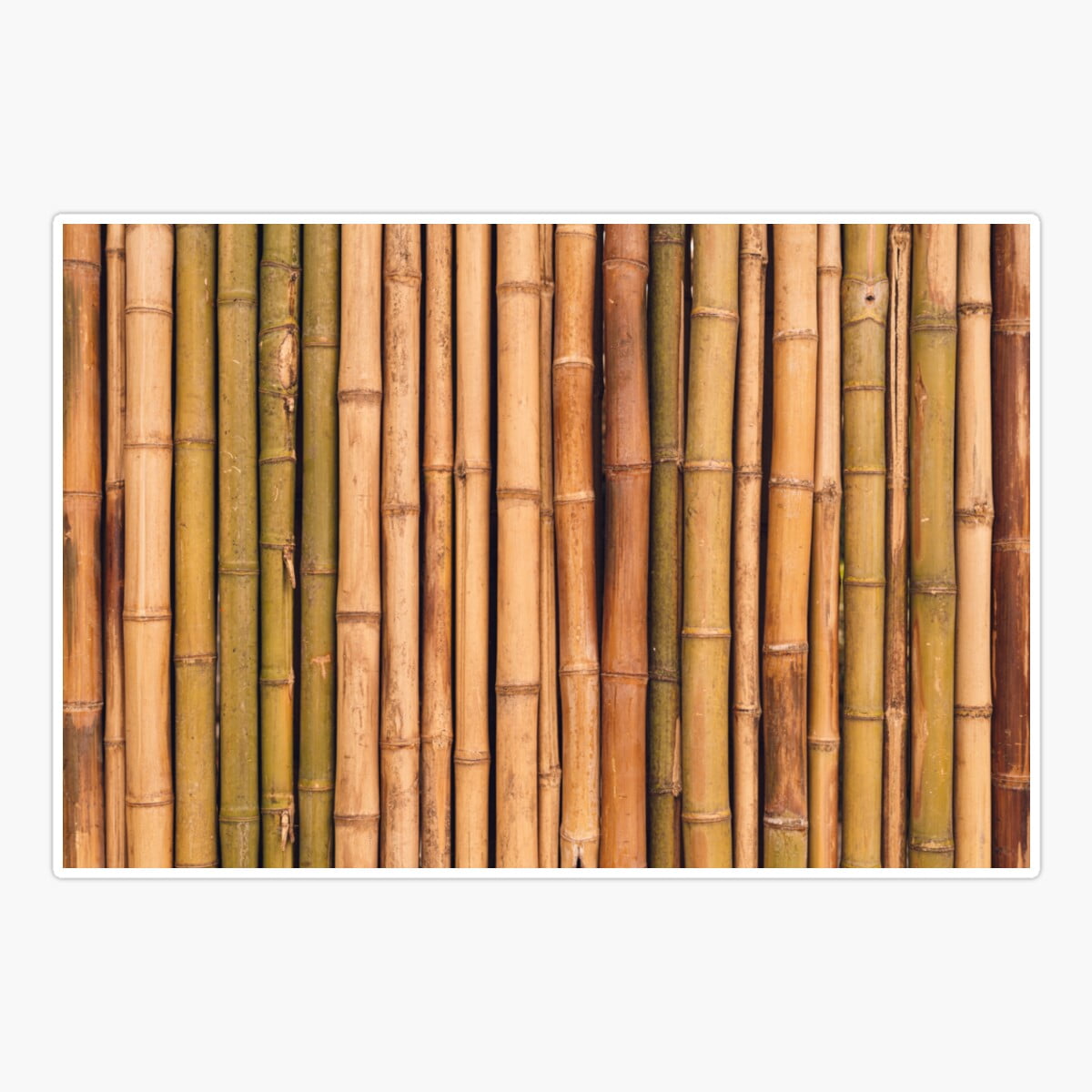 Onim Bamboo Fence Sticker, Phone Decal Water Bottle Stickers Car Decals ...