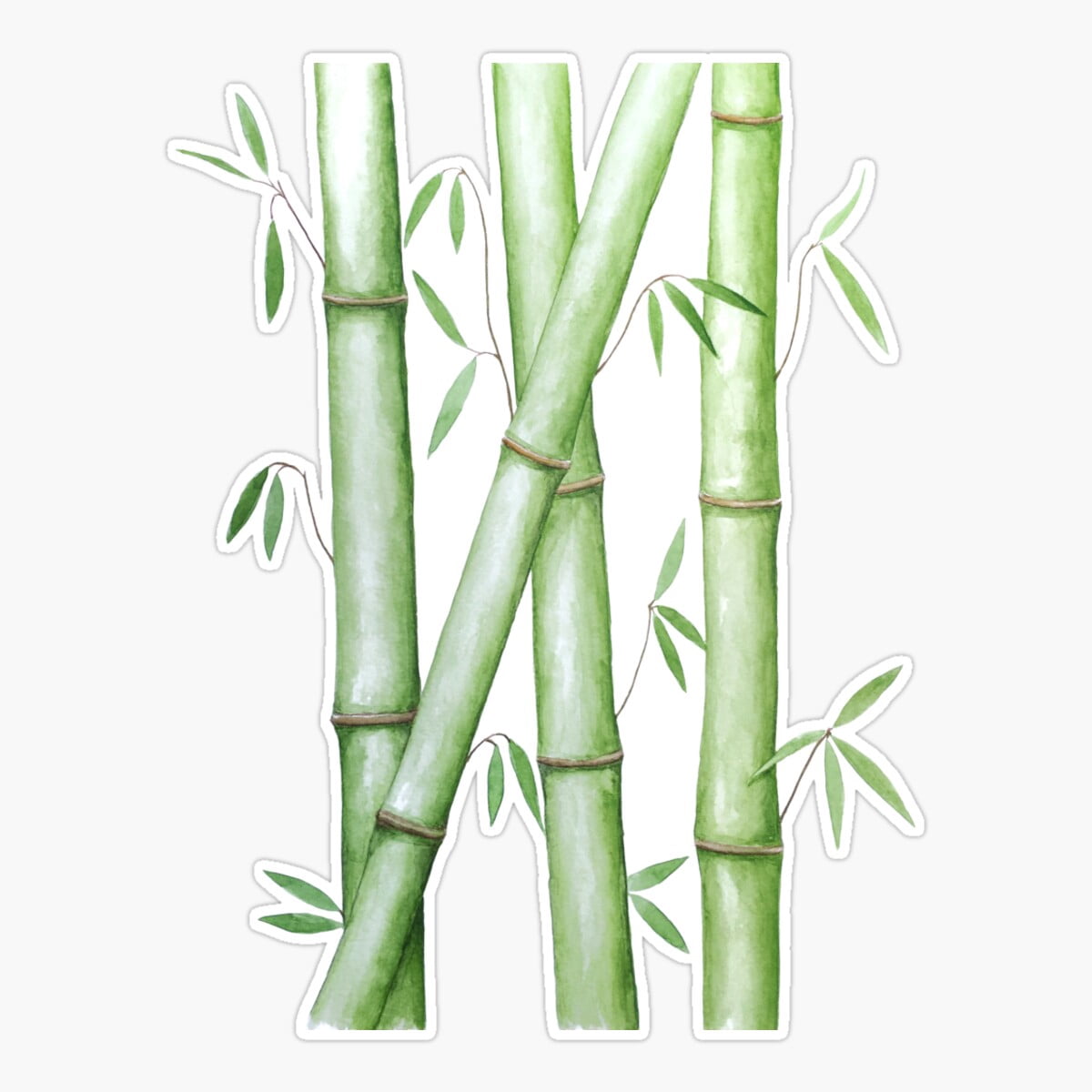 Onim Bamboo Plant Watercolor Painting Sticker, Phone Decal Water Bottle ...