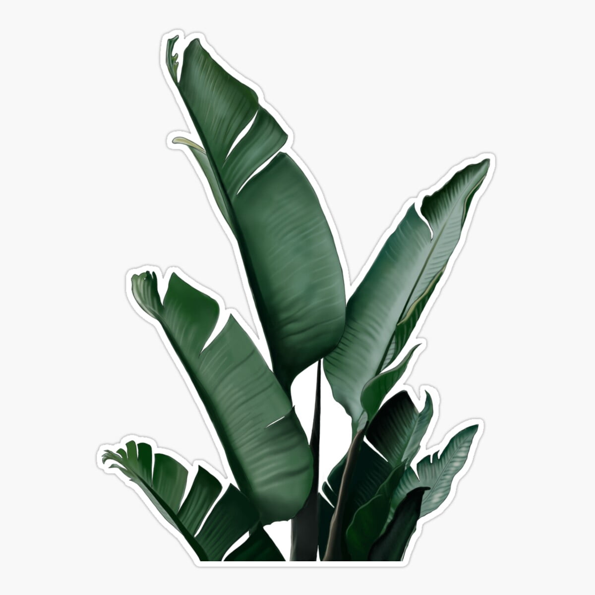 Onim Banana Leaf Sticker, Phone Decal Water Bottle Stickers Car Decals ...
