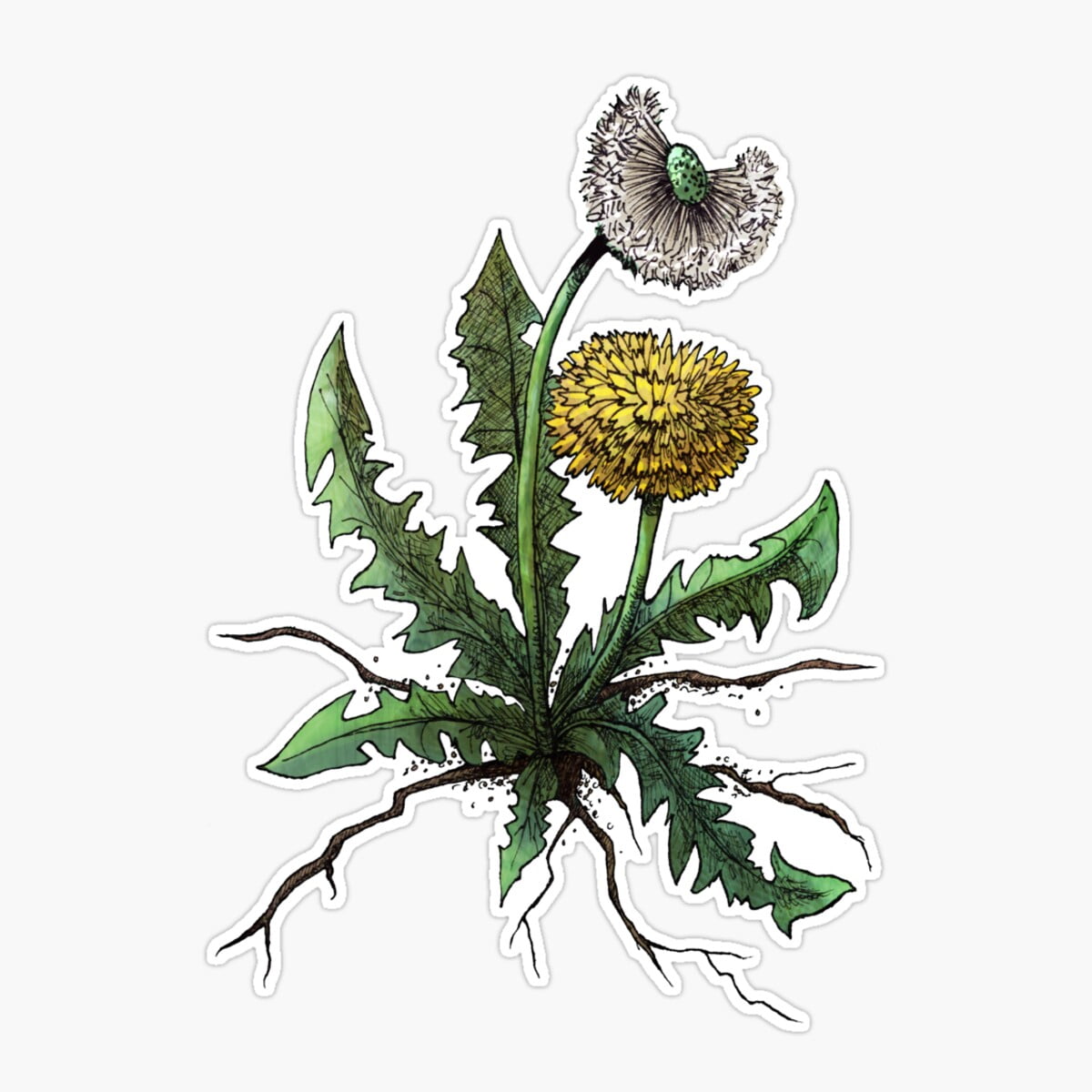 Onim Banana Split Sticker, Phone Decal Water Bottle Stickers Car Decals ...