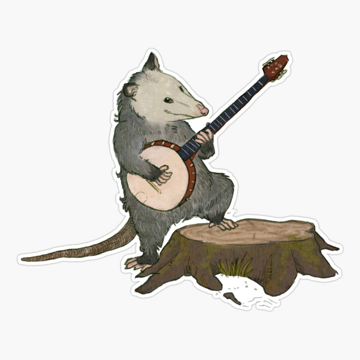 Onim Banjo Possum Sticker, Phone Decal Water Bottle Stickers Car Decals ...