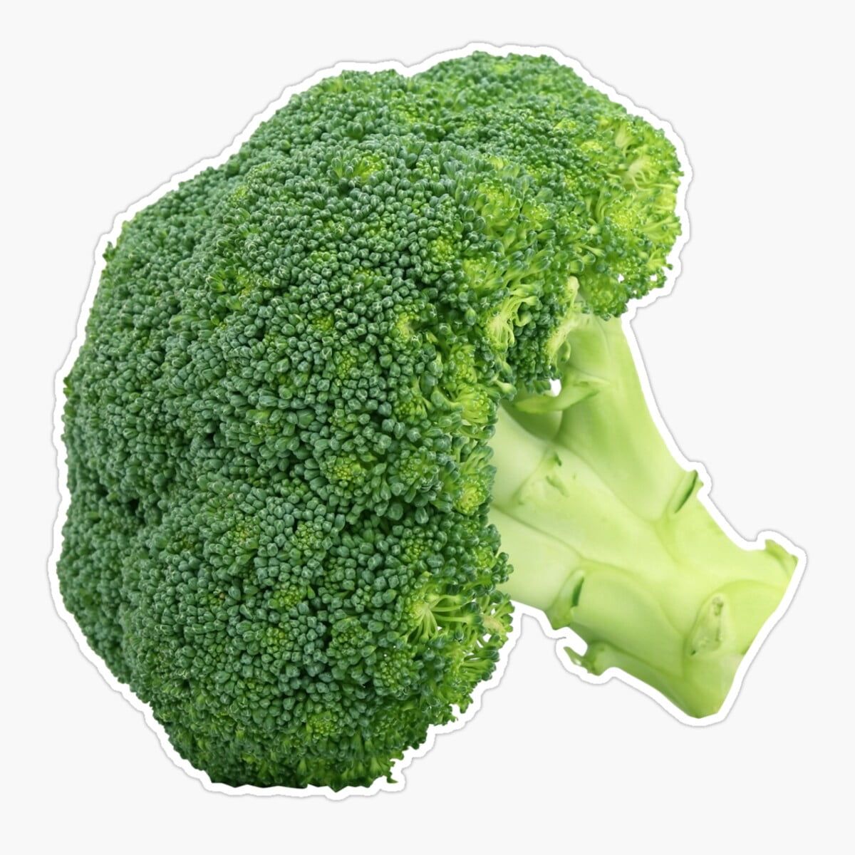 Onim 灼熱Beach Side Sunny Sticker, Phone Decal Water Bottle Stickers Car ...