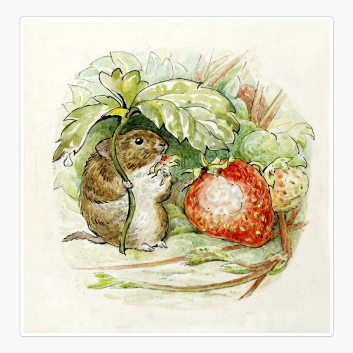 Onim Beatrix Potter - Timmy Willie Mouse Sticker, Phone Decal Water ...