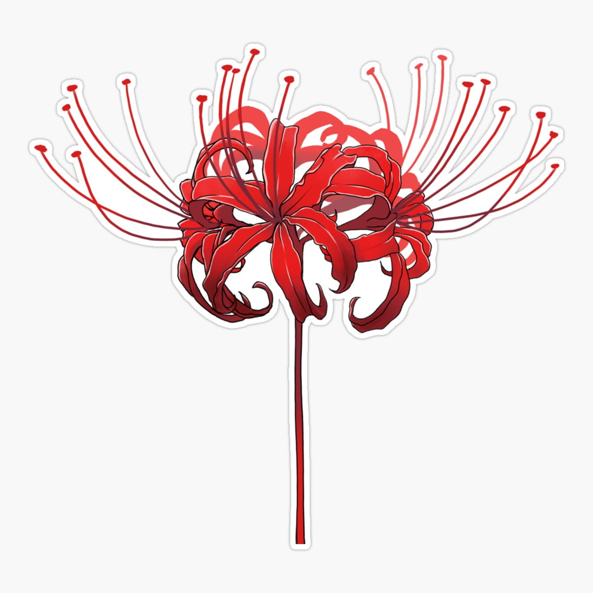 Onim Beautiful Red Spider Lily Sticker, Phone Decal Water Bottle ...