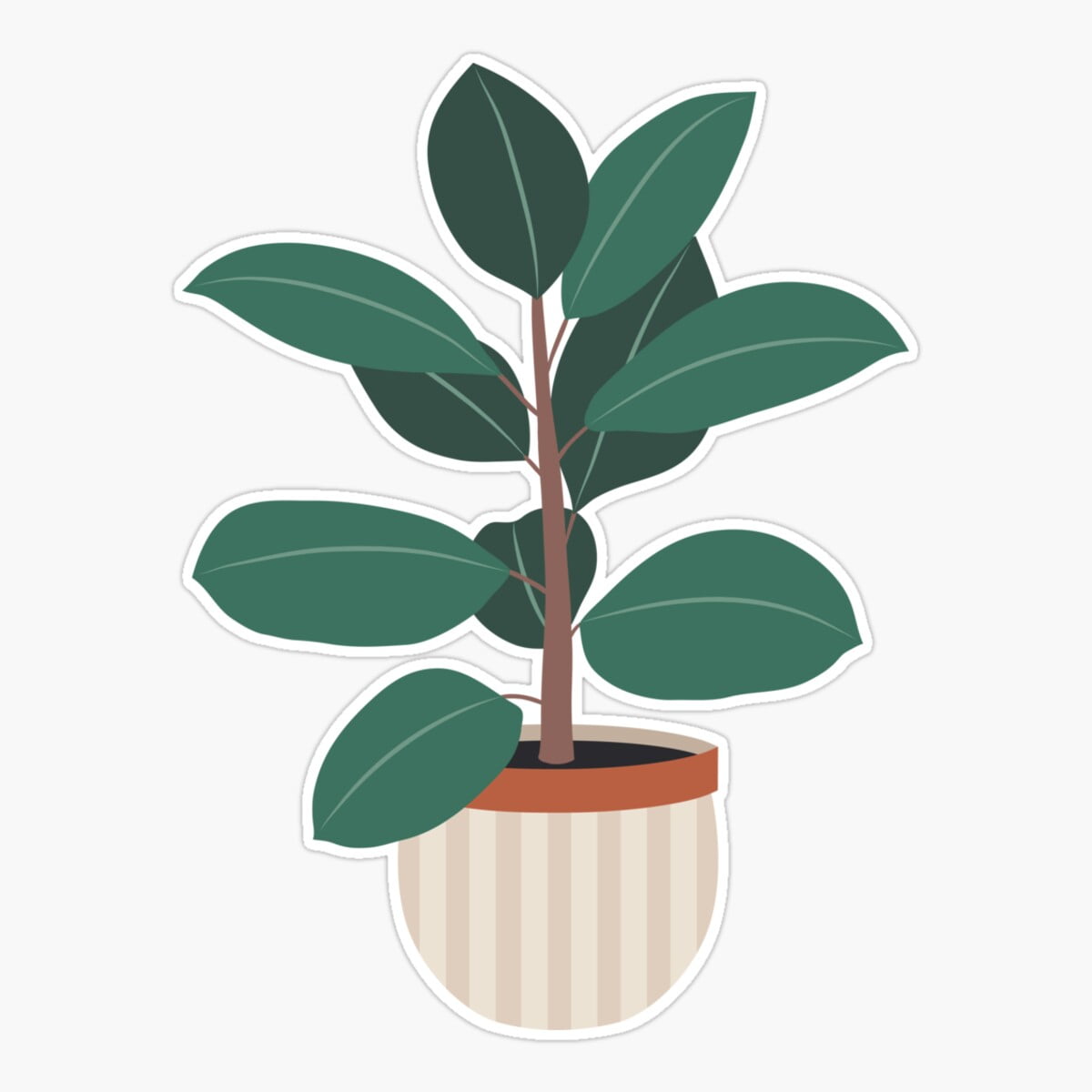 Onim Beautiful Rubber Plant House Plant In Pot Sticker, Phone Decal ...