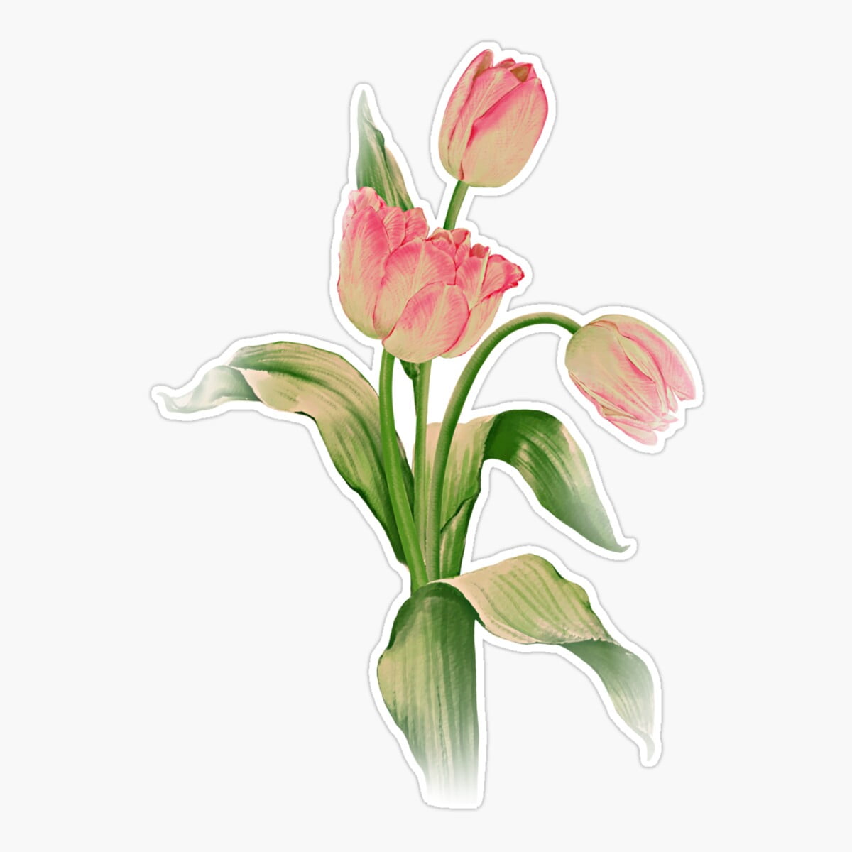 Onim Beautiful Tulips Sticker, Phone Decal Water Bottle Stickers Car ...