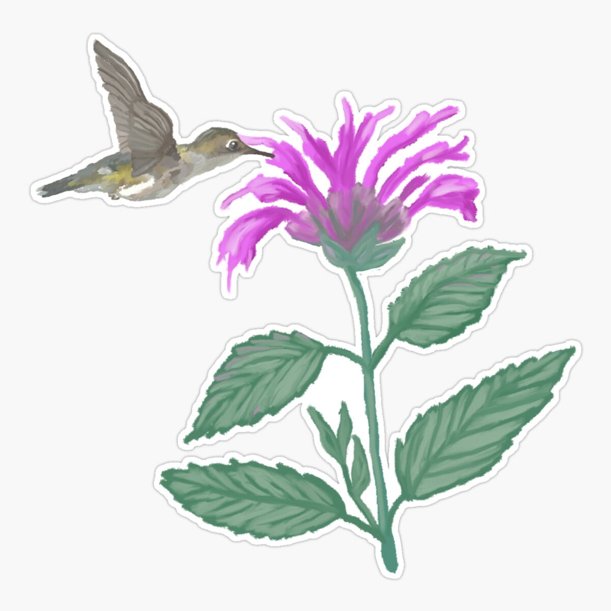 Onim Bee Balm And Hummingbird Sticker, Phone Decal Water Bottle ...