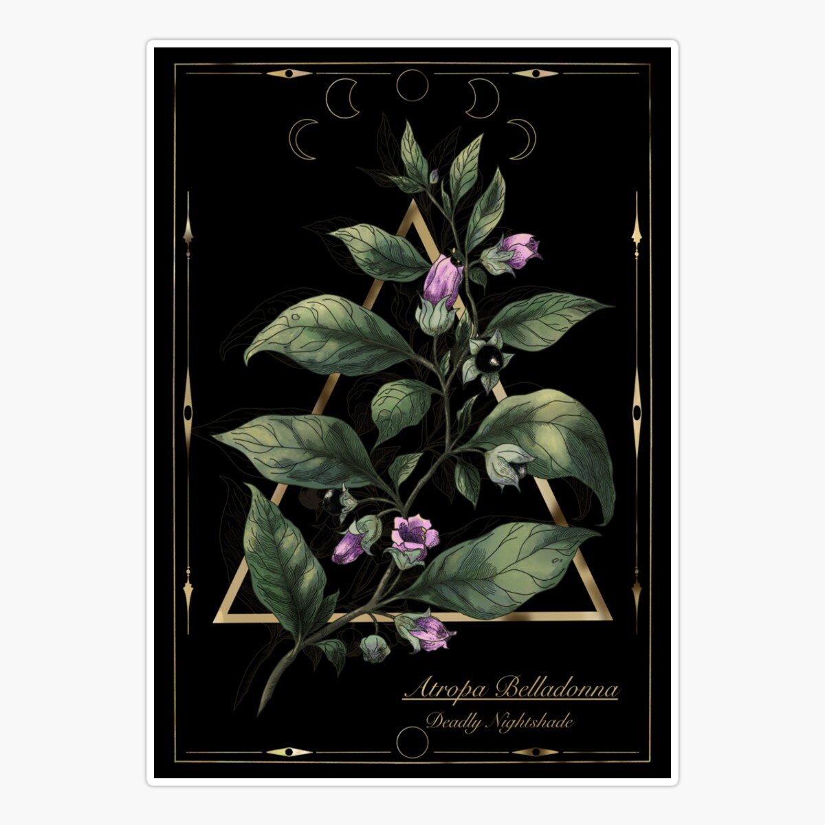 Onim Belladonna. Deadly Nightshade. Magical Herbs Sticker, Phone Decal Water Bottle Stickers Car ...