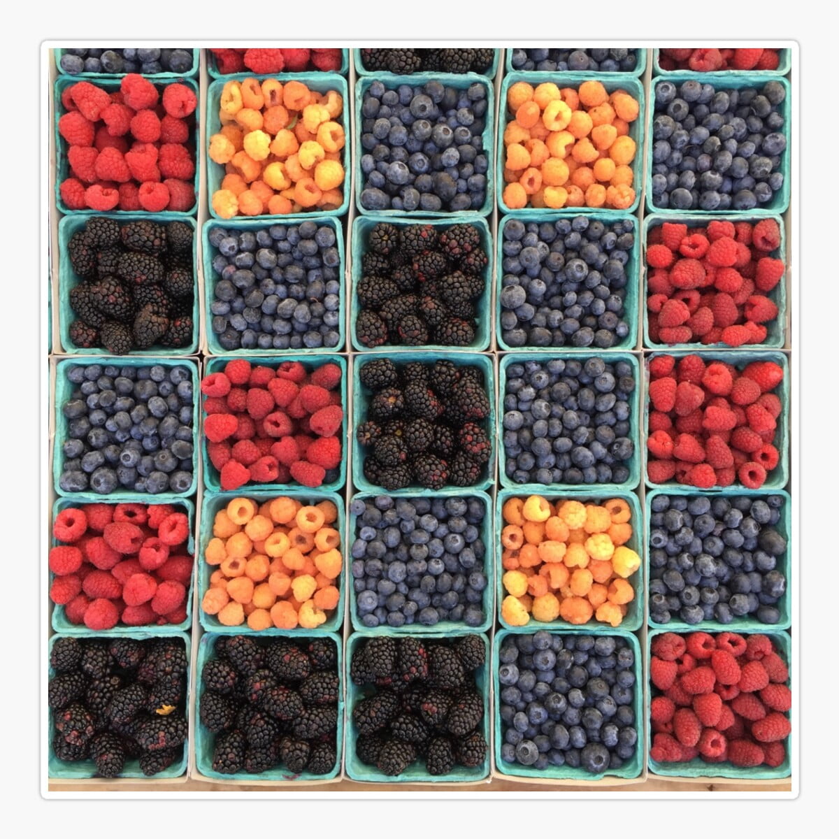 Onim Berries Sticker, Phone Decal Water Bottle Stickers Car Decals ...