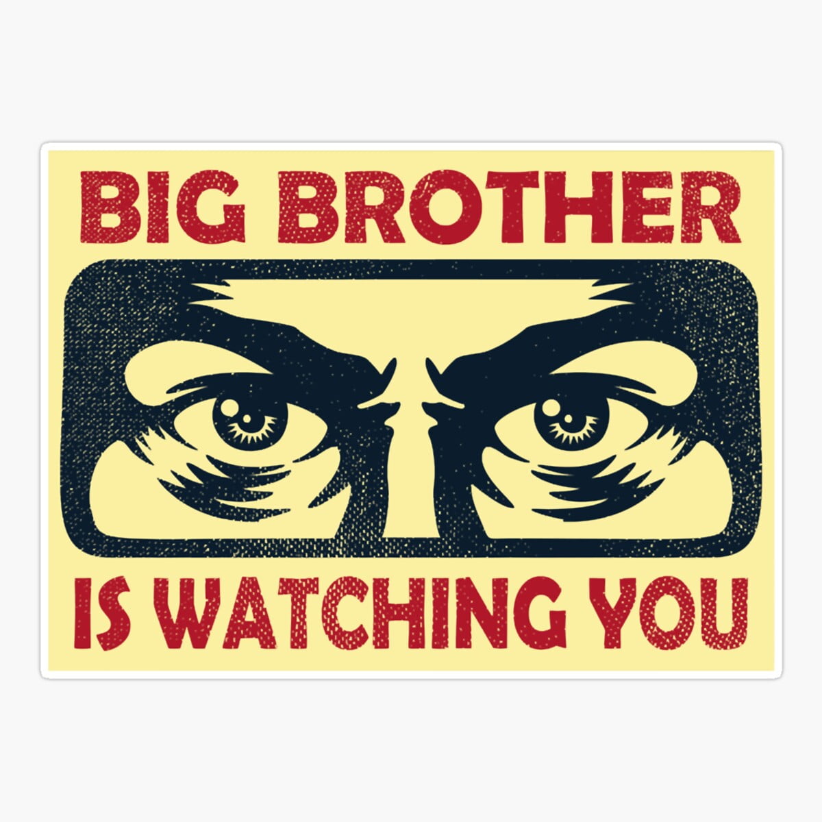 Onim Big Brother Is Watching You Sticker, Phone Decal Water Bottle ...