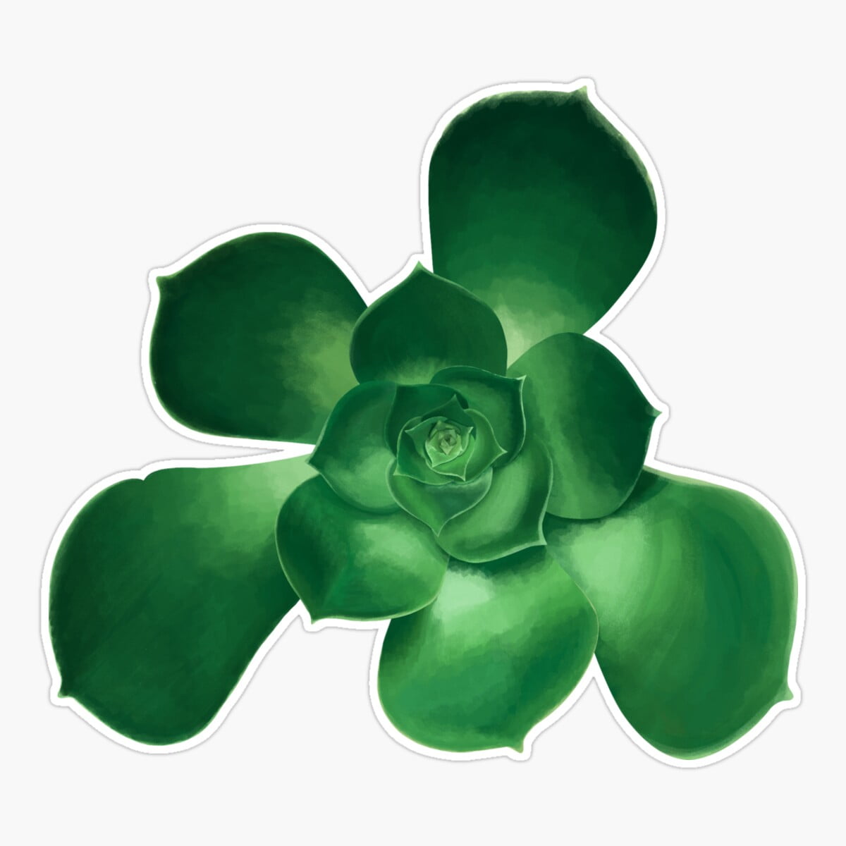 Onim Big Succulent Sticker, Phone Decal Water Bottle Stickers Car ...