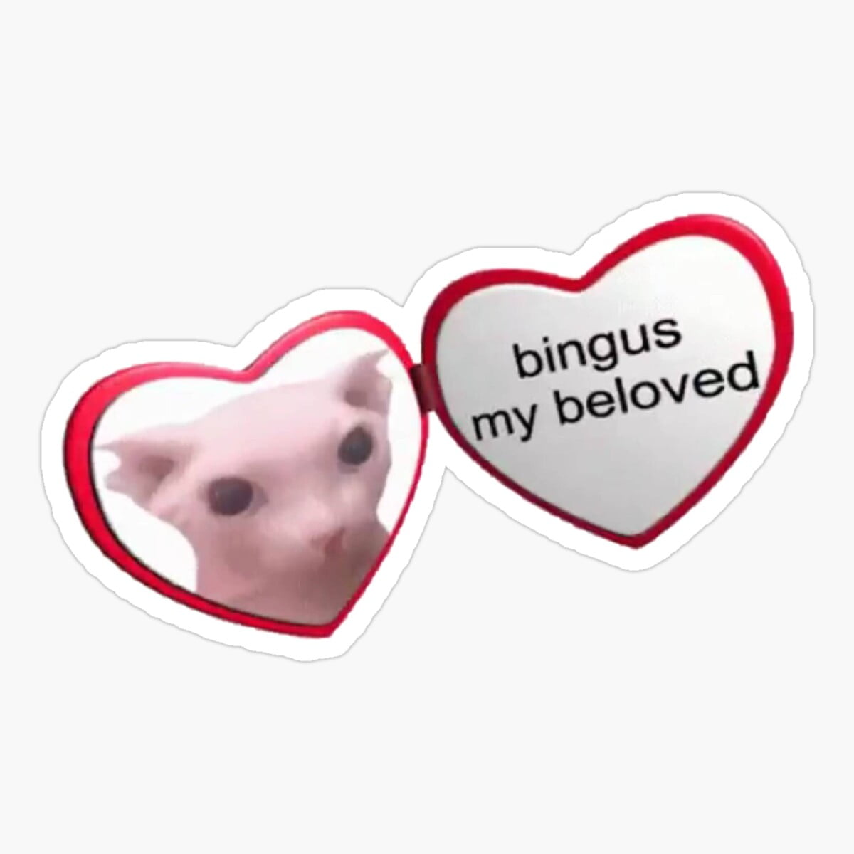 Onim Bingus My Beloved Sticker, Phone Decal Water Bottle Stickers Car ...