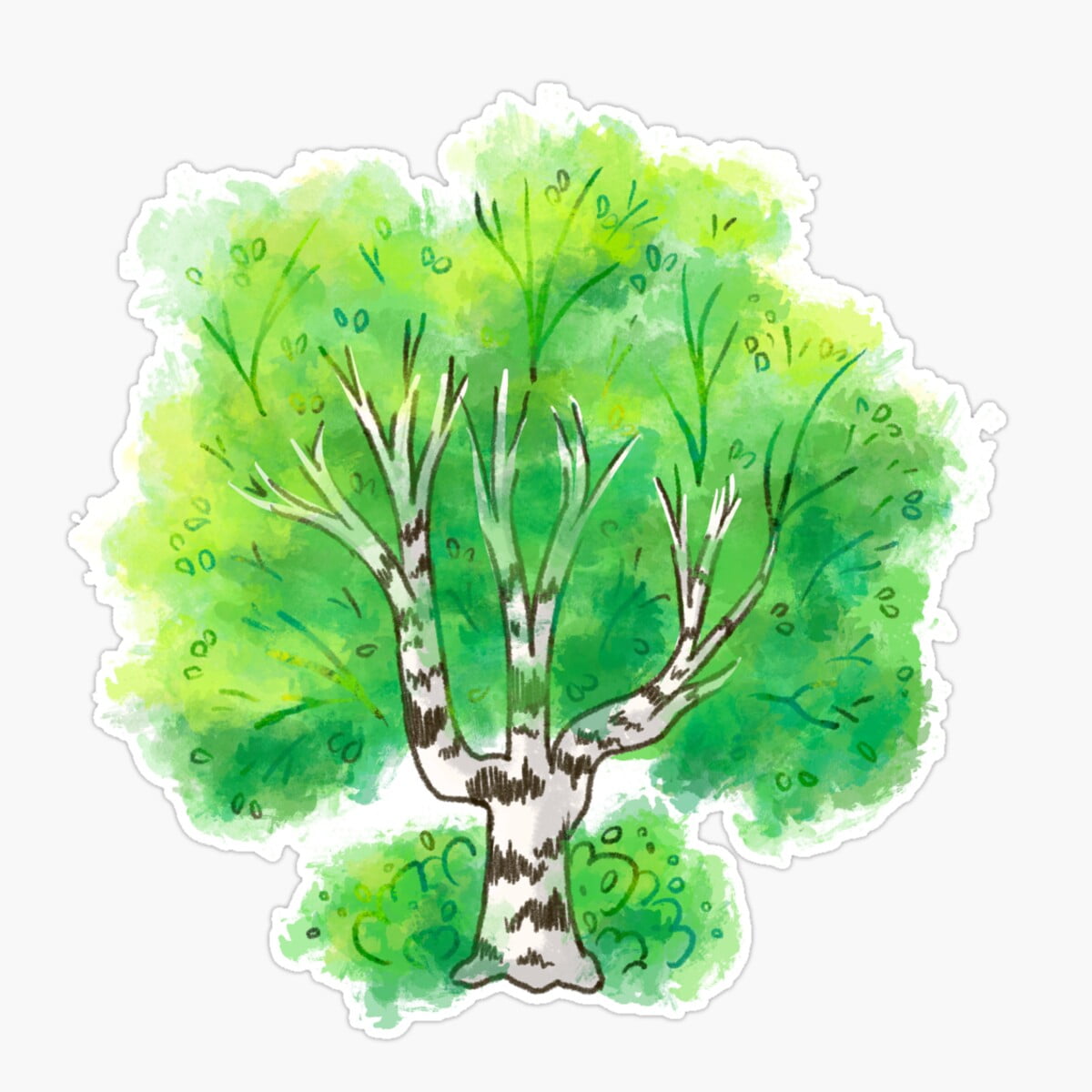 Onim Birch Tree Sticker Sticker, Phone Decal Water Bottle Stickers Car ...