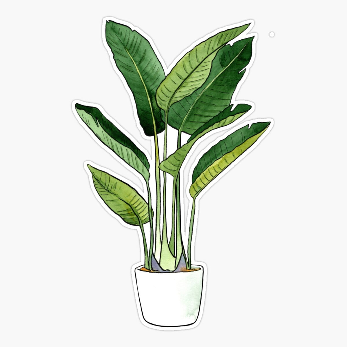 Onim Bird Of Paradise Plant Sticker, Phone Decal Water Bottle Stickers ...