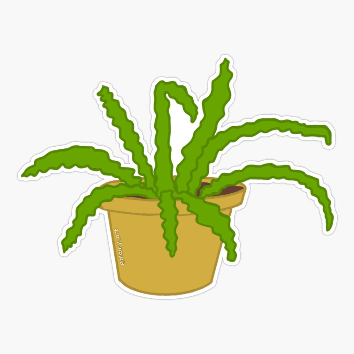 Onim Bird’S Nest Fern Sticker, Phone Decal Water Bottle Stickers Car ...