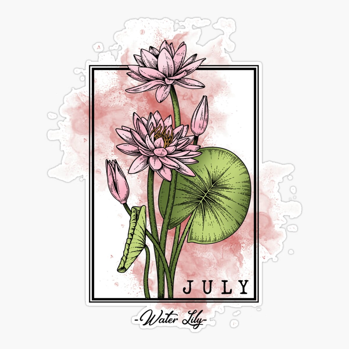 Onim Birth Month Flower | July | Water Lily | Floral Design Sticker ...