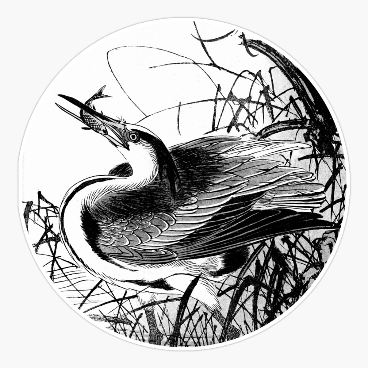 Onim Black And White Japanese Crane Sticker, Phone Decal Water Bottle ...