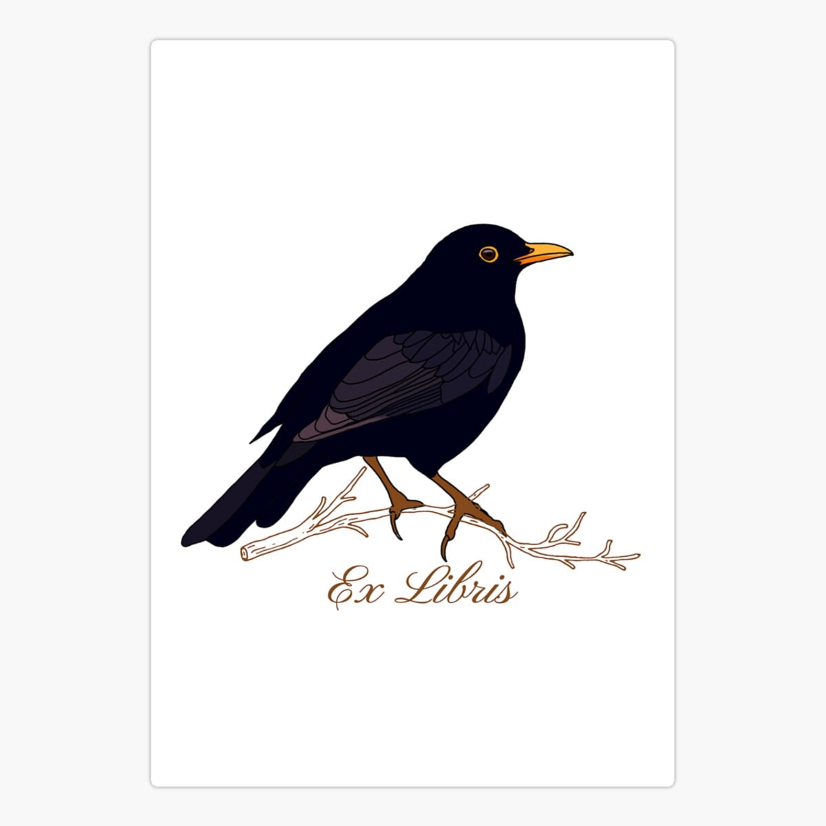 Onim Black Bird Ex Libris Sticker, Phone Decal Water Bottle Stickers ...