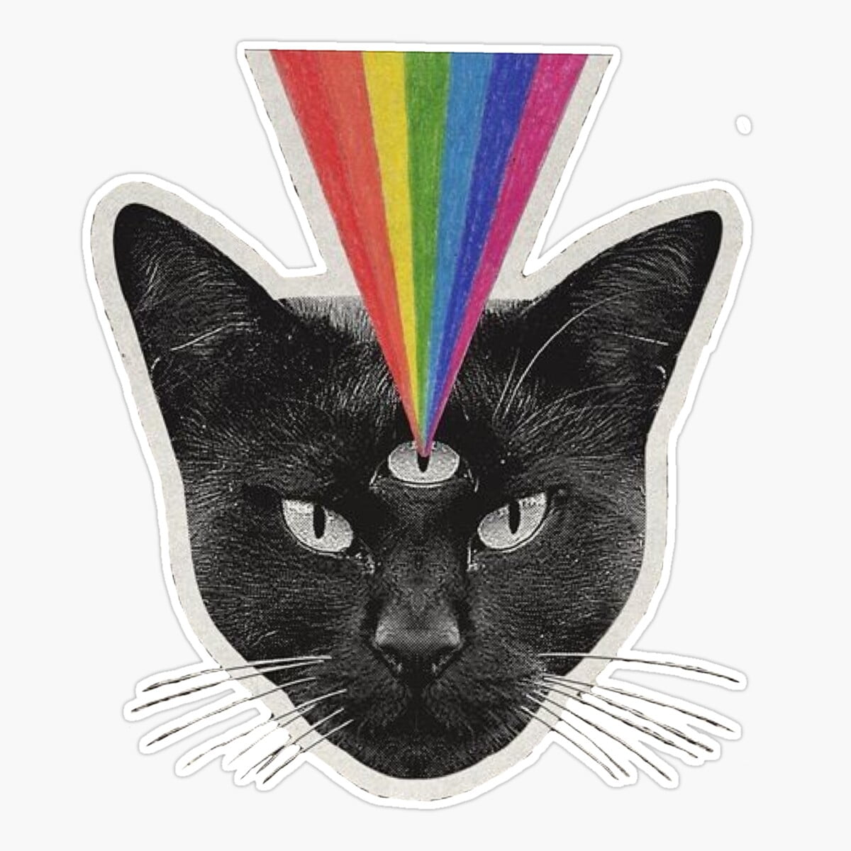 Onim Black Cat Nsn Transparent Sticker, Phone Decal Water Bottle ...