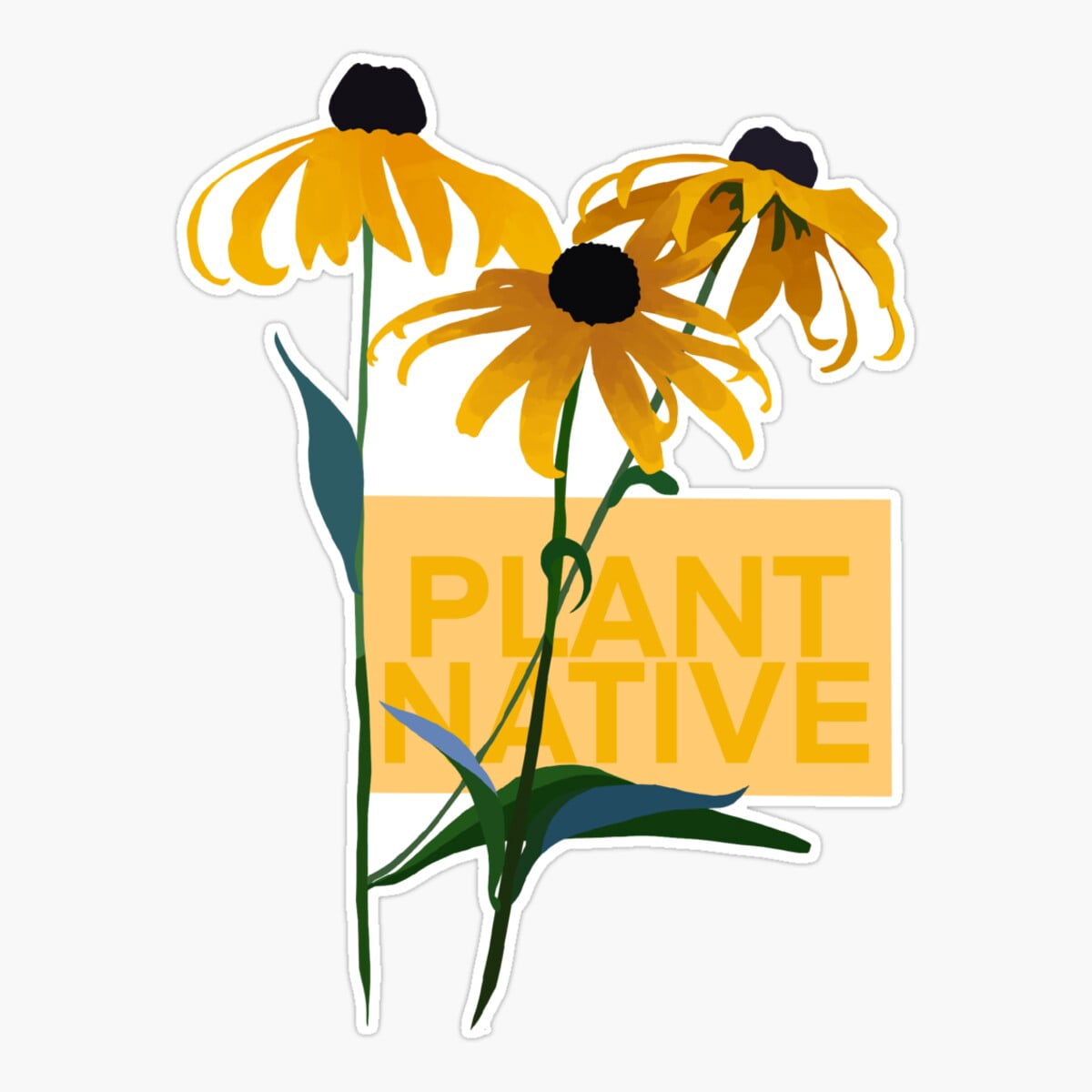 Onim Black-Eyed Susan Plant Native Botanical Illustration Sticker ...