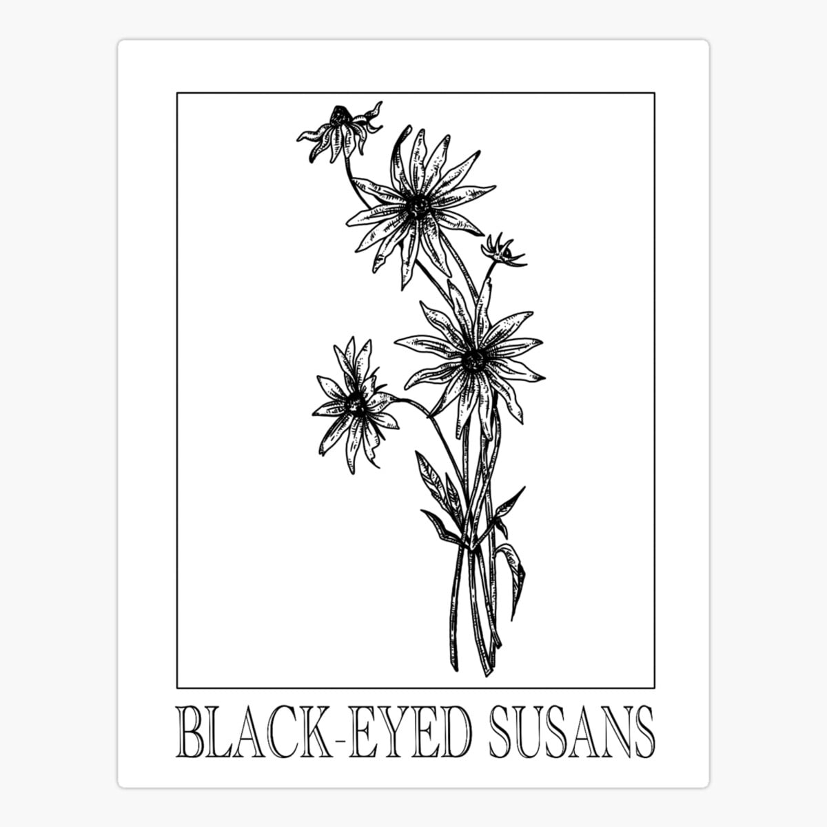 Onim Black-Eyed Susans Sticker, Phone Decal Water Bottle Stickers Car ...