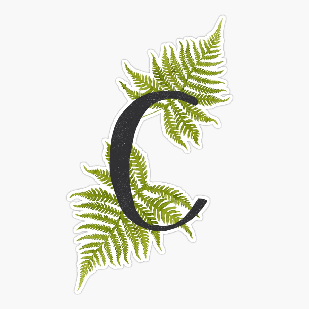Onim Black Letter C Monogram With Green Watercolor Fern On Beige ...