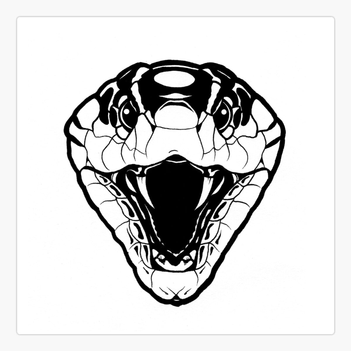 Onim Black Mamba Sticker, Phone Decal Water Bottle Stickers Car Decals ...