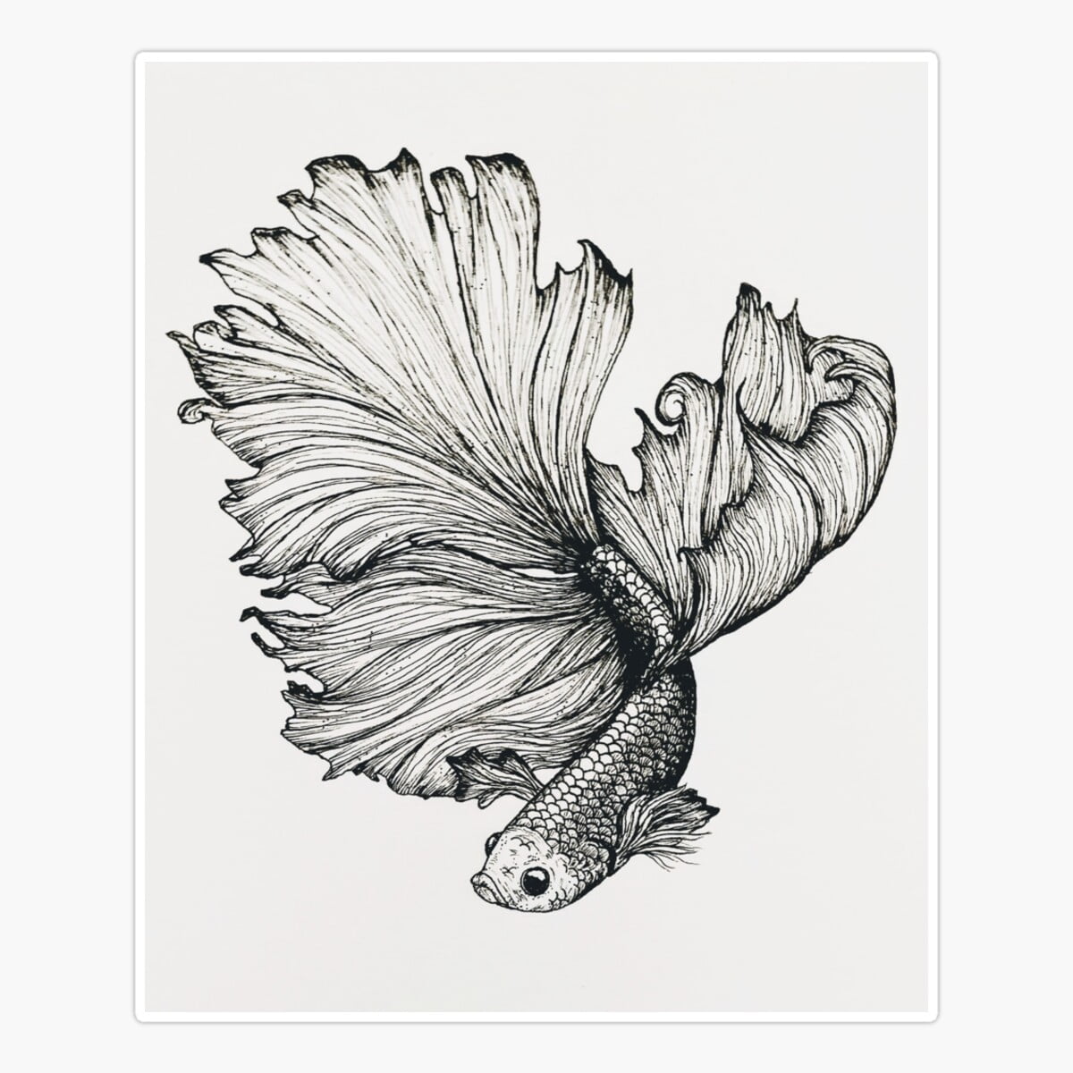 Onim Black Precursor Orb : Jak And Daxter Sticker, Phone Decal Water ...