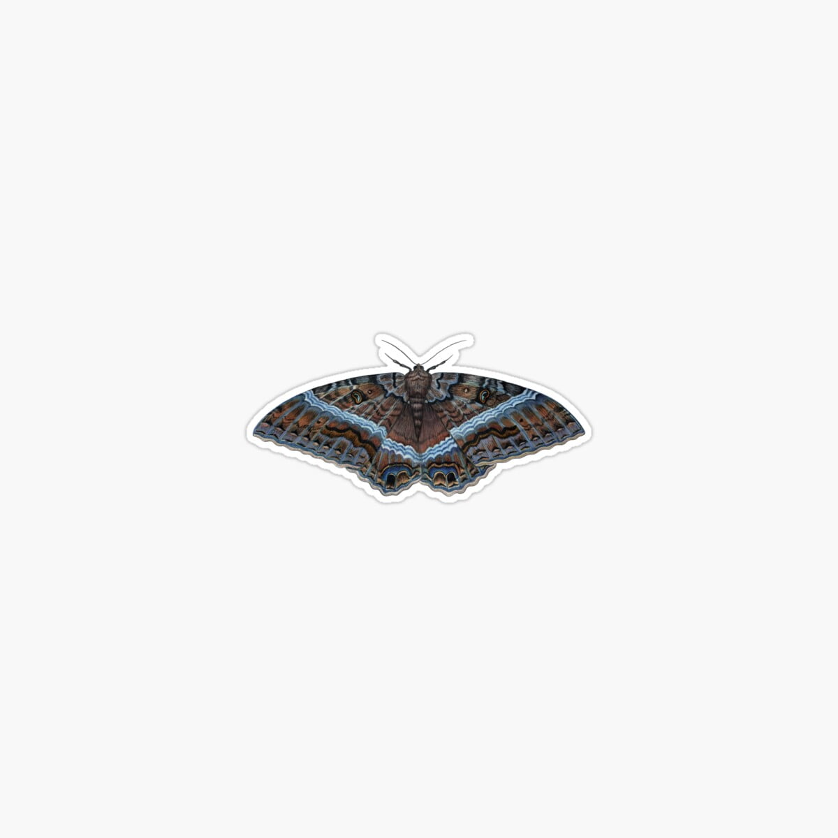 Onim Black Witch Moth (Ascalapha Odorata) Sticker, Phone Decal Water ...