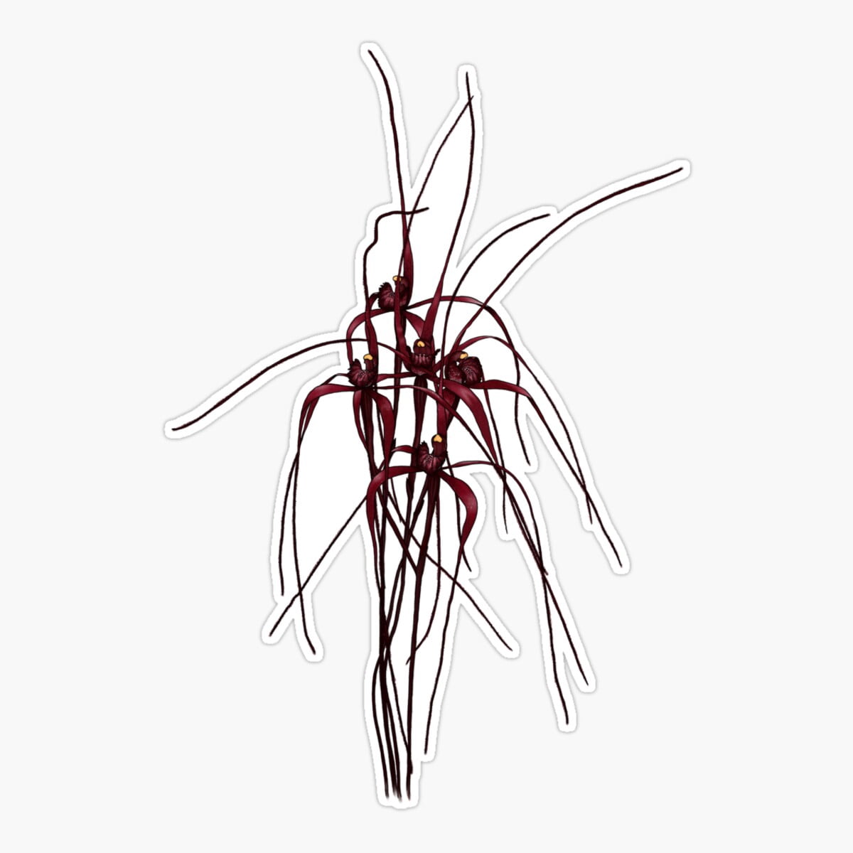 Onim Blood Spider Orchid Sticker, Phone Decal Water Bottle Stickers Car ...